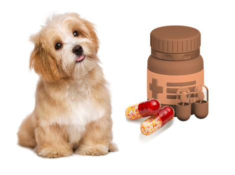 Veterinary Drugs
